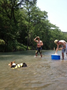 Corgis Swimming (Yes It’s Possible!) – Whit's Wilderness